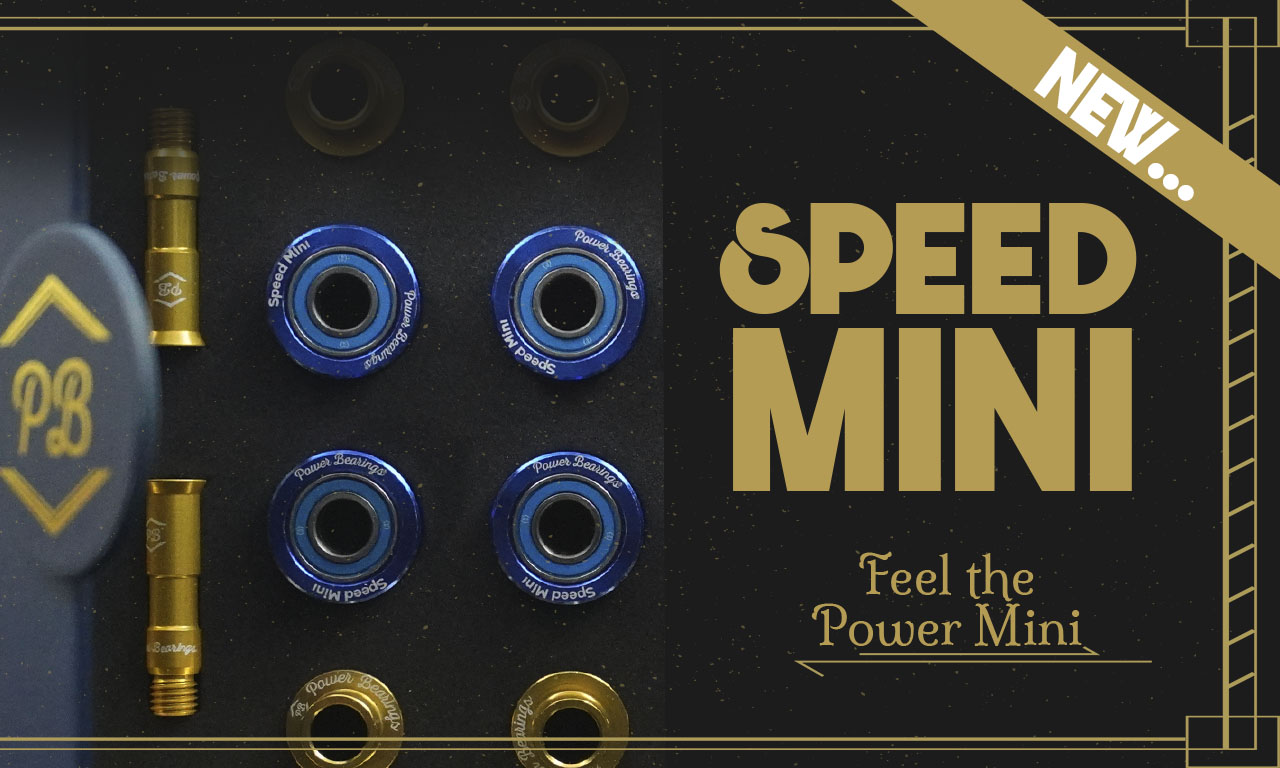 Power Bearings – Rodamientos